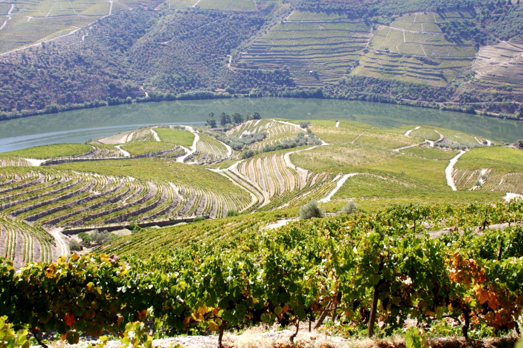 A river runs through it – 5 recommended reds from the stunning Douro ...